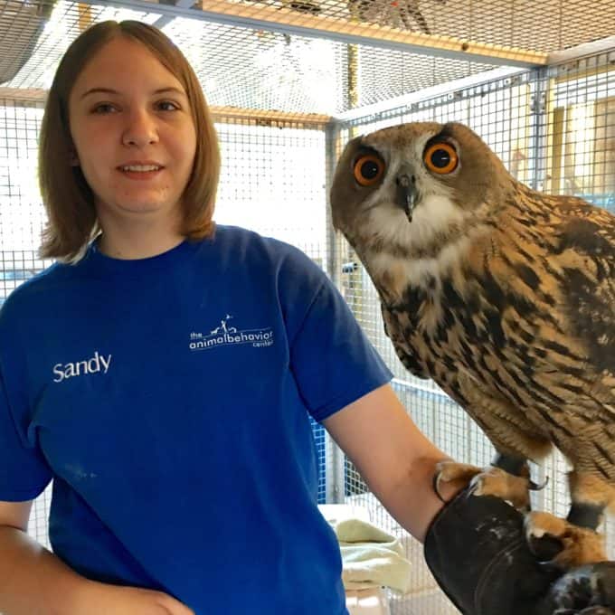 Meet the staff and volunteers at The Animal Behavior Center