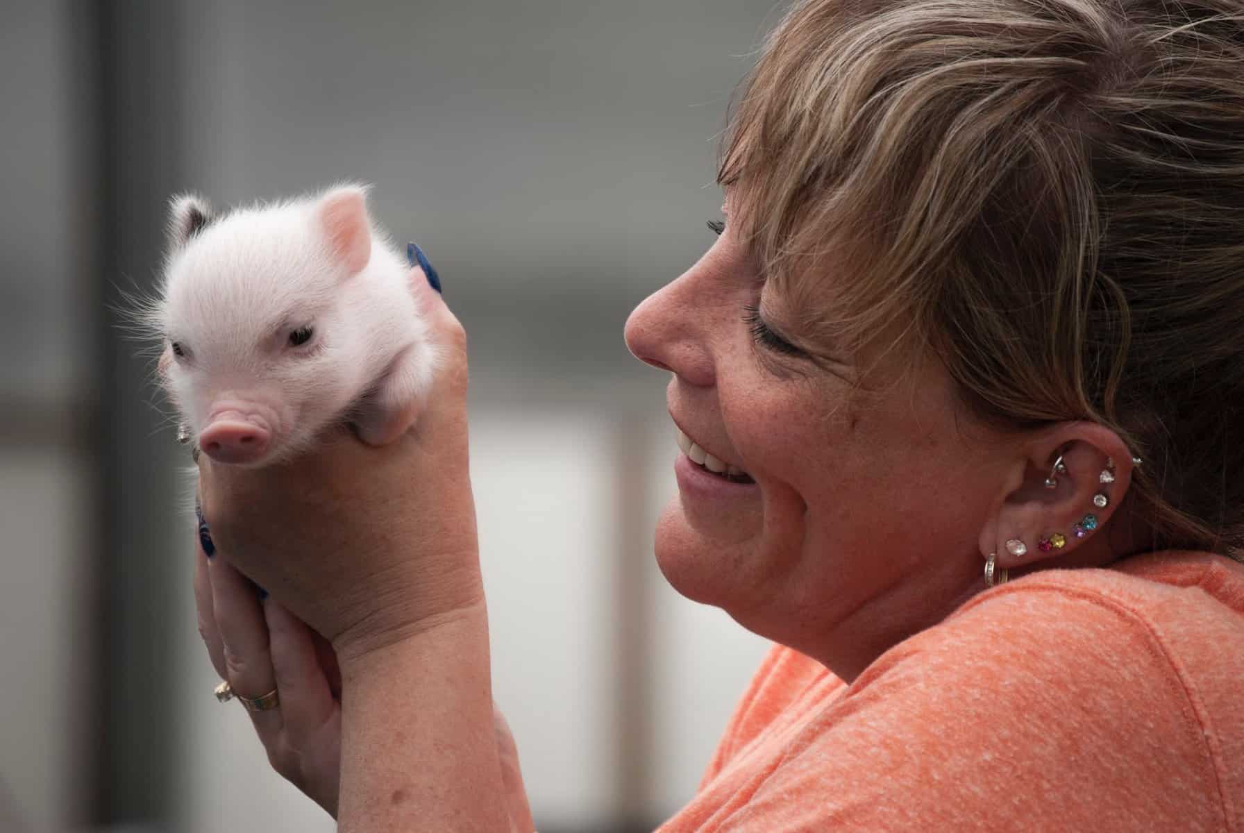 pam and pig - The Animal Behavior Center