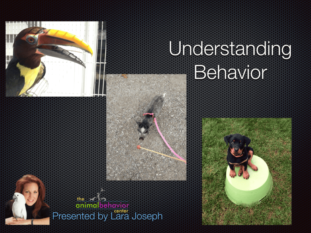 Understanding Behavior LIVE GRAPHICS - The Animal Behavior Center