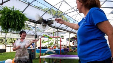 Animal training & education for animal trainers, zookeepers, pet owners ...