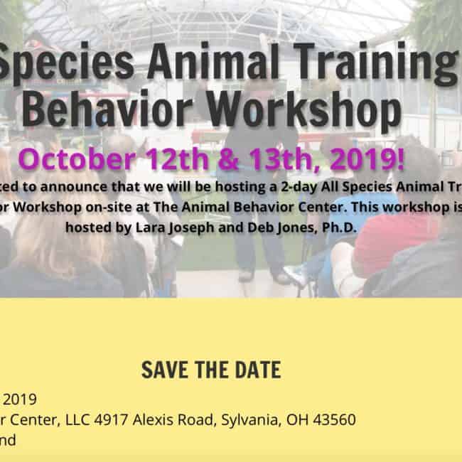 Animal training & education for animal trainers, zookeepers, pet owners