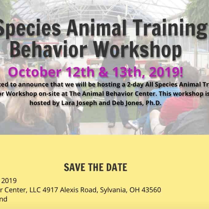 Animal training & education for animal trainers, zookeepers, pet owners