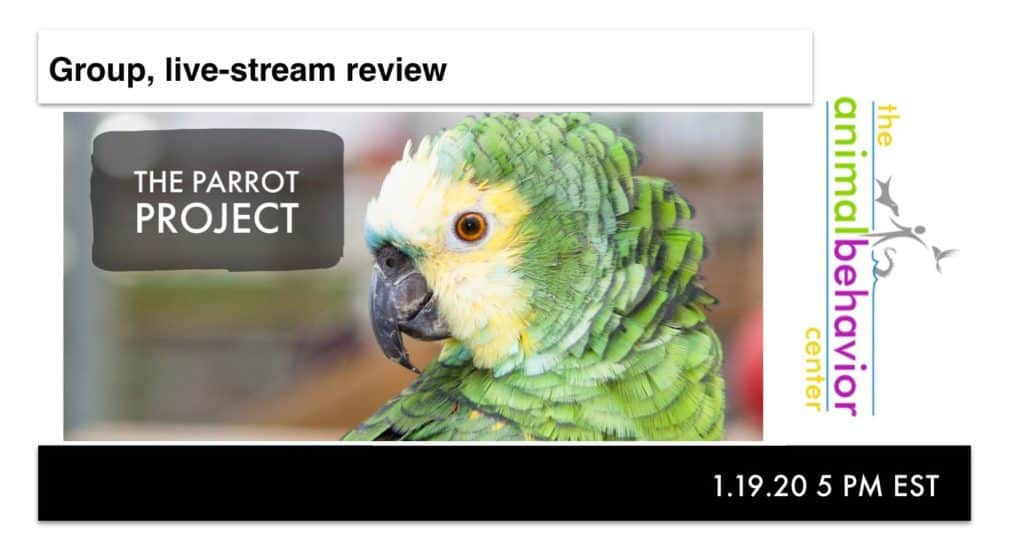 Group, live-stream review of The Parrot Project - The Animal Behavior ...