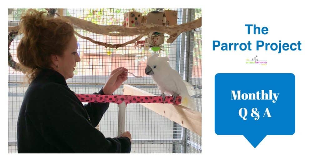 Monthly Q & A: The Parrot Project 1.26.2021 - The Animal Behavior Center